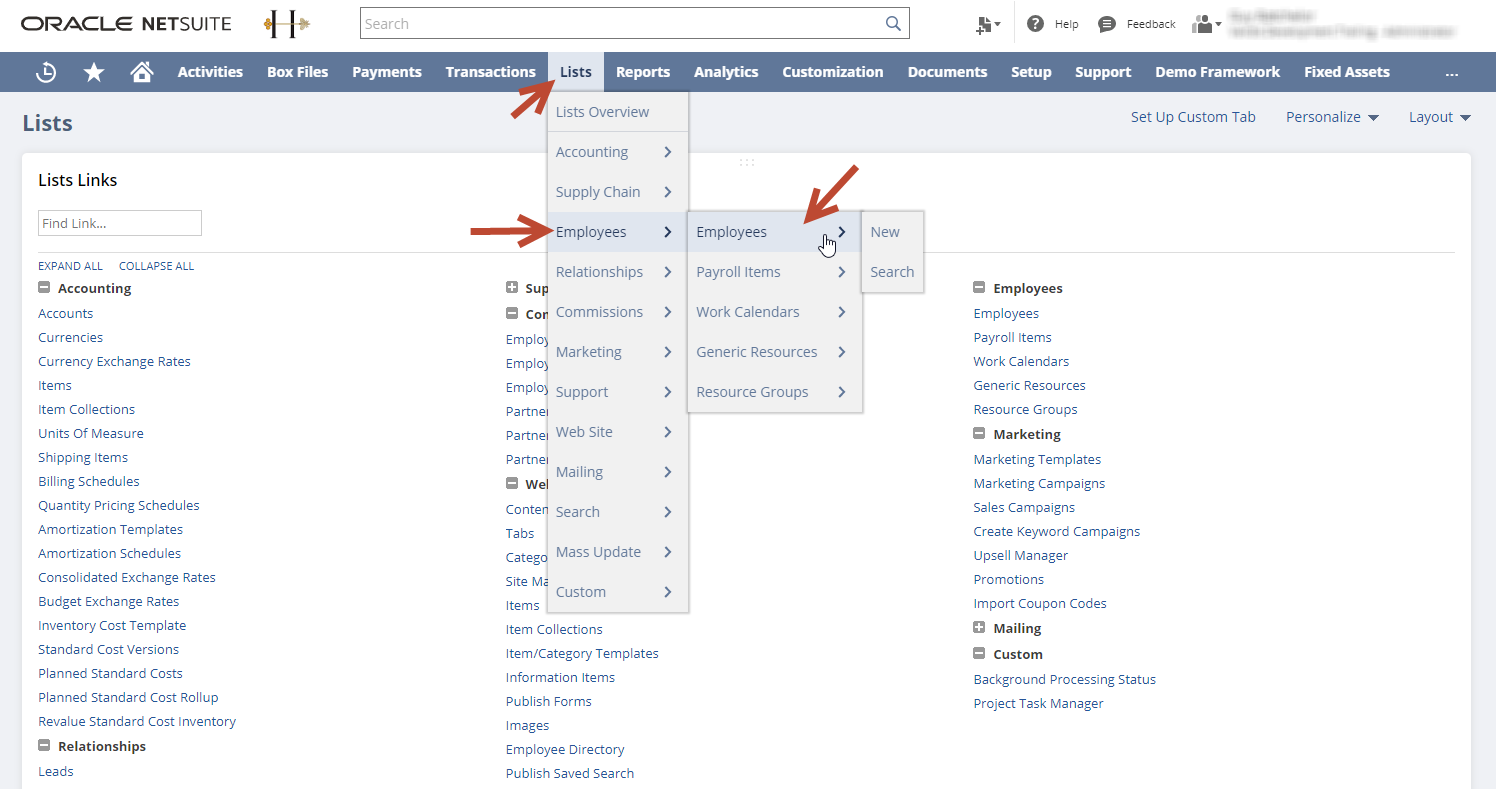 NetSuite Integration Guide – Validis Support